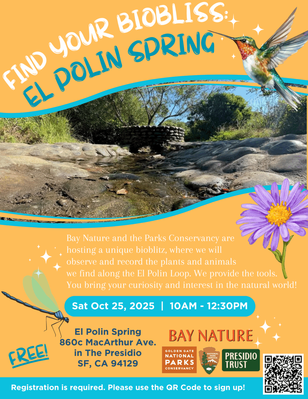 Bioblitz: Find Your Biobliss in The Presidio » SF Children & Nature