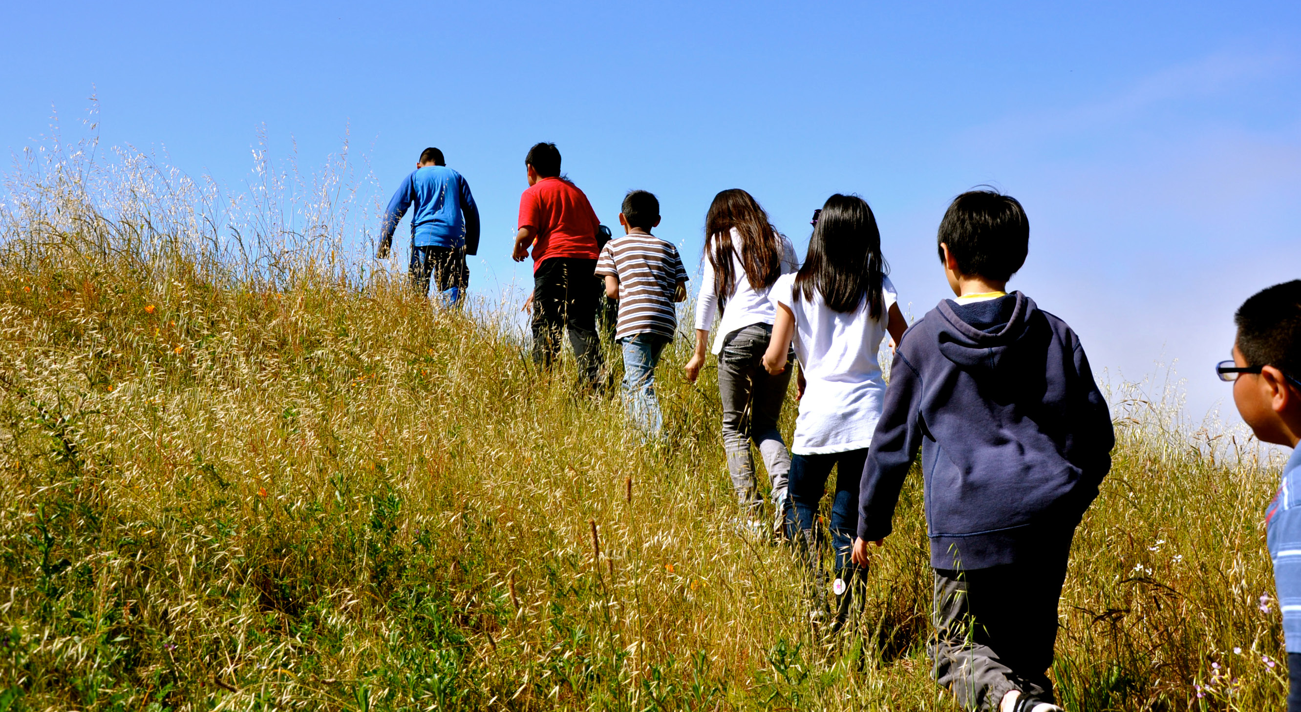Youth Nature Survey » SF Children & Nature